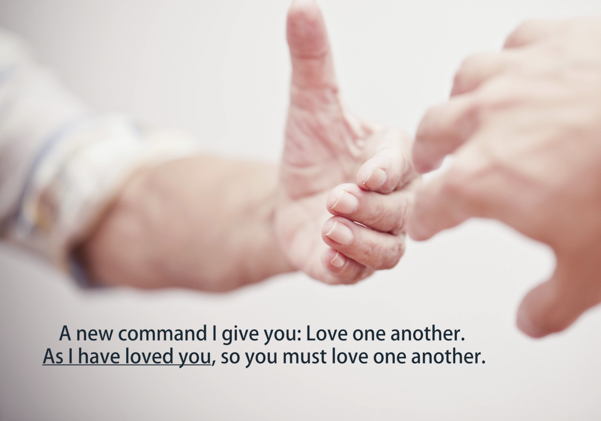 Why We Can’t Love #5 | The Established Heart